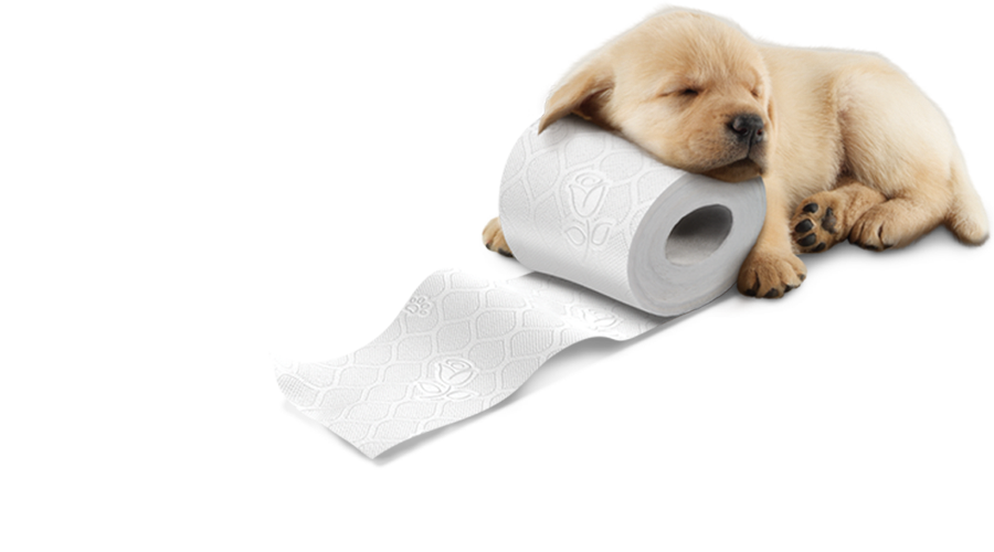 Higiénicos - Pétalo®